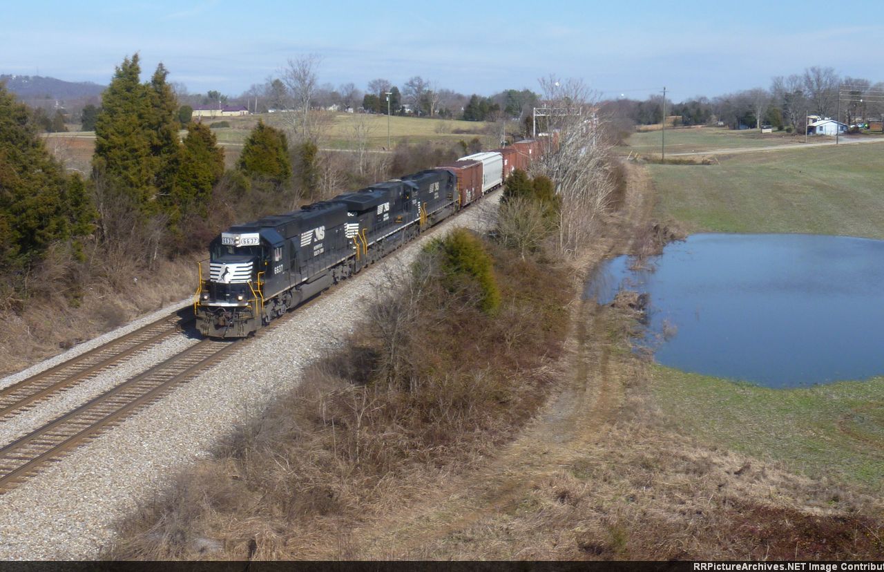 NS 6637 on 165 at Coulter
